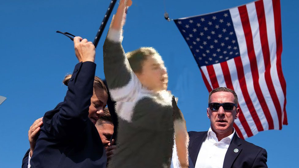 ytmnd - you're the man now dog!